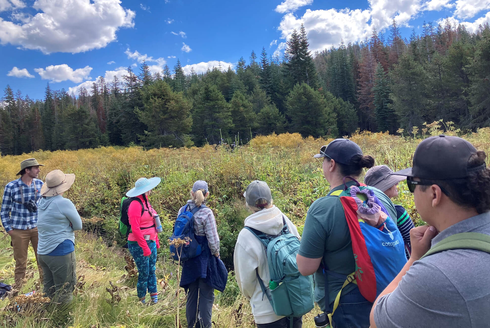 UC Climate Stewards Take Action To Reduce Carbon Emissions and Build ...